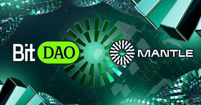 Mantle Network là gì? Lý do Mantle Network nổi bật giữa các Layer 2 ...